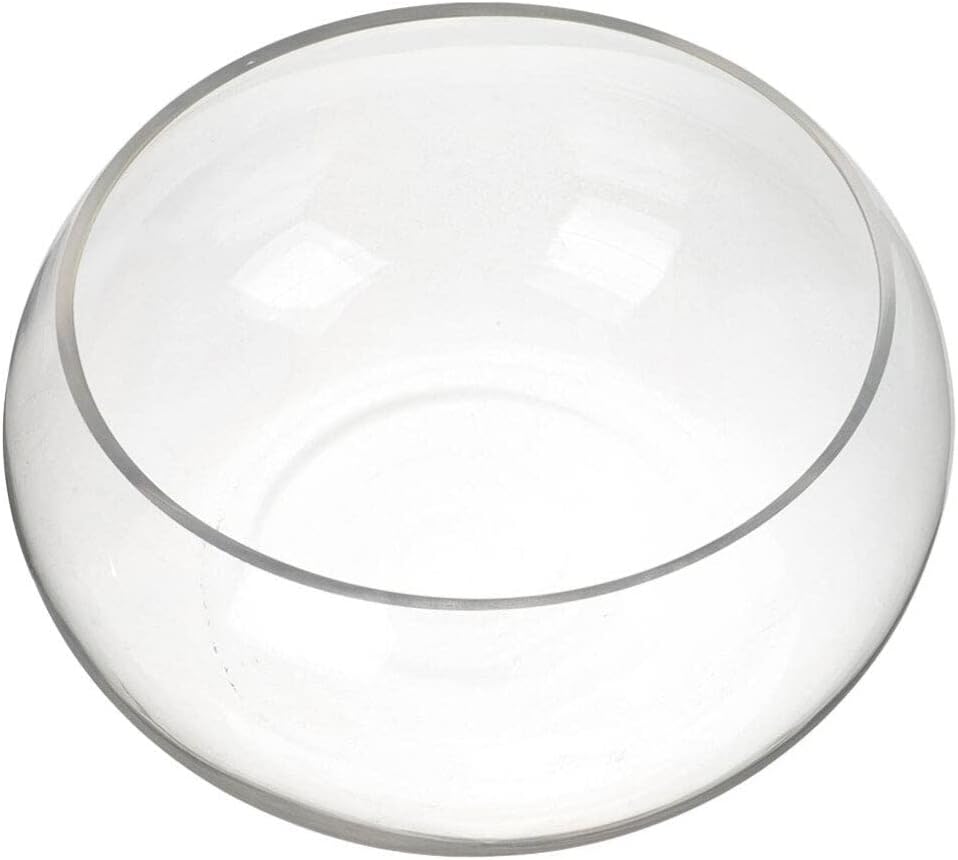 Amazon.com: IMIKEYA Glass Bubble Bowl Bowl Glass Vase Clear Bubble Planter Terrarium Fish Bowl ...