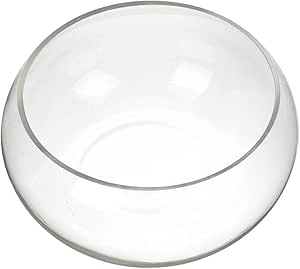 Amazon.com: IMIKEYA Glass Bubble Bowl Bowl Glass Vase Clear Bubble Planter Terrarium Fish Bowl ...