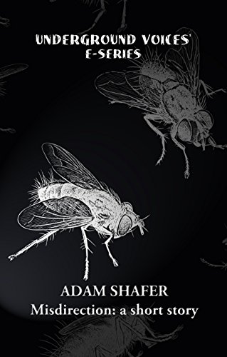 Amazon.com: Misdirection eBook : Shafer, Adam: Books