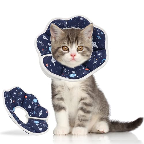Amazon Best Sellers: Best Cat Recovery Collars & Cones