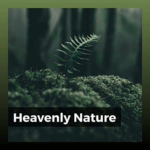 Amazon.co.jp: Heavenly Nature : Recording Nature, Sounds of Nature ...