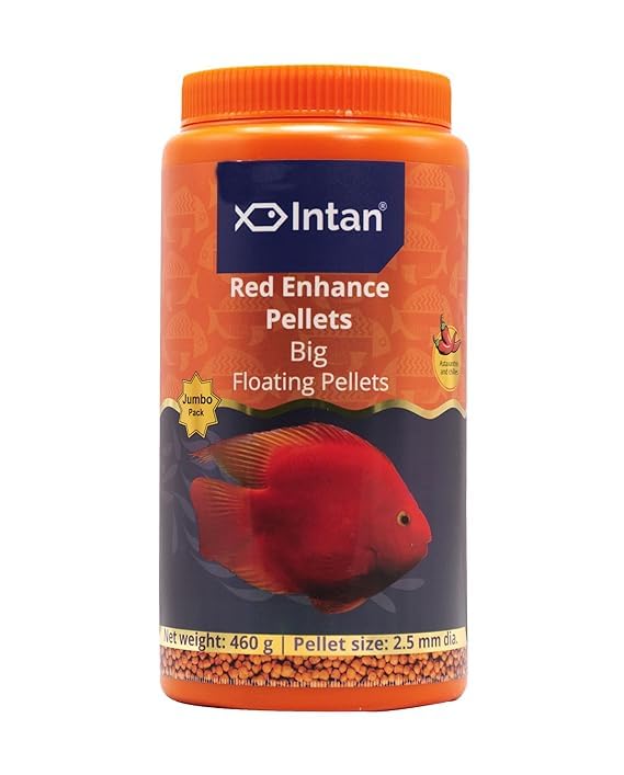 INTAN Red Enhance (460gm Big) Pellet Size 2.5mm Fish Food Intan ...