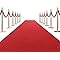 Amazon.com: HOMBYS 450 GSM Extra Thick Red Carpet Runner for Partys ...
