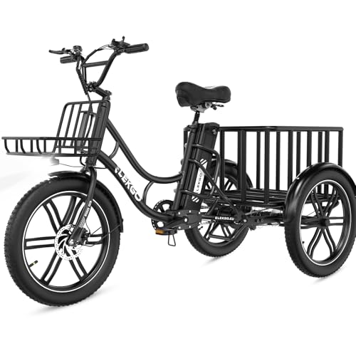 Elektro Fahrrad Mit 3 Radern
