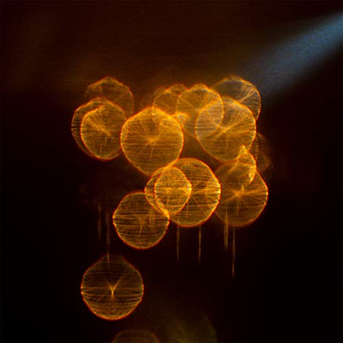 Cuando Todo Está Bien by Señor Loop on Amazon Music - Amazon.com