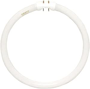 ProLume FC22T5/841 109082 FC22 T5 9IN CIRCLINE 4100K, 20 Piece - Amazon.com