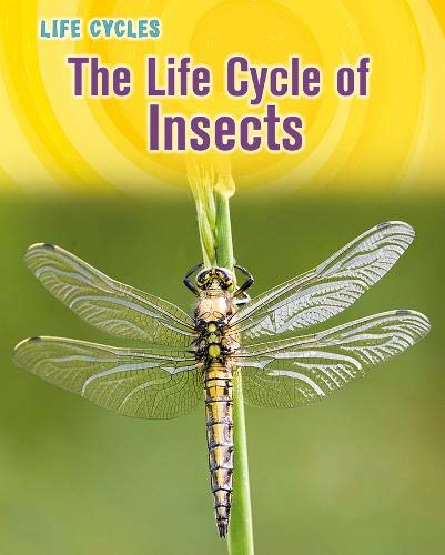 Buy The Life Cycle of Insects (Life Cycles) Book Online at Low Prices ...