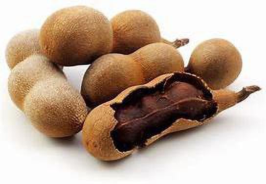 Punarva Tamarind PlantTatul PlantThai All time Sweet Tamarind Plant ...