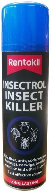 Rentokil RKLPS136 Insectrol Insect Killer 250ml Aerosol : Amazon.co.uk ...
