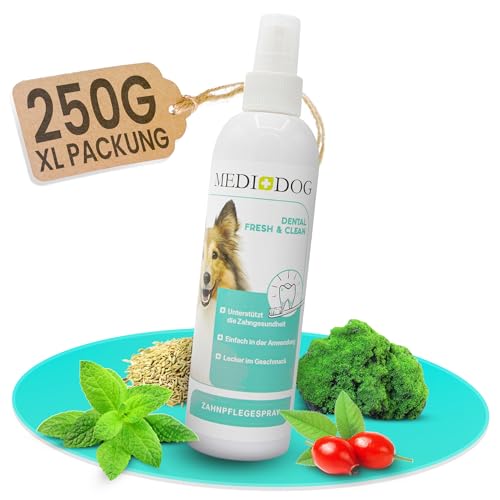 Hunde Dentalspray – Die 15 besten Produkte im Vergleich - HundeINFOPortal