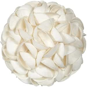Amazon.com: Heyiwell 6" Inch White Seashells Decor Sphere,Ark Shells ...