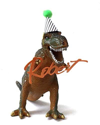 Amazon.com: Personalized TRex Party Dinosaur T-Rex Cake Topper or Party ...