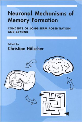 Neuronal Mechanisms of Memory Formation: Concepts of Long-term ...