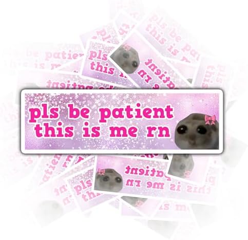 Amazon.com: 3PCS Pls Be Patient This is Me Rn Sticker Funny Meme Bumper ...