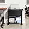 Amazon.com: ZAOUS Mobile File Cabinet, 2 Tier File Cart with Wheels ...