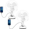 Amazon.com: Technical Pro Set of 2 Portable 12" Rechargeable ...
