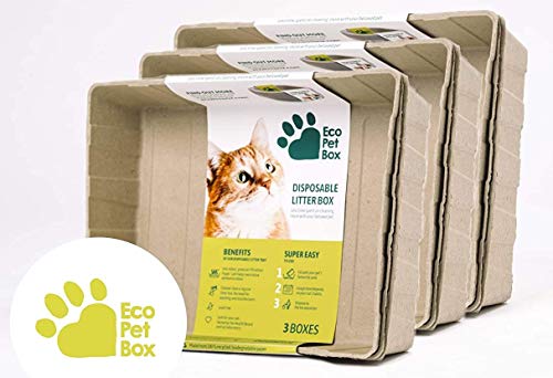 Top 10 Disposable Cat Litter Boxes of 2022 - Best Reviews Guide