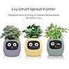 Amazon.com: Generic Plantagotchi™ Smart Plant Pot,Smart Flowerpots ...