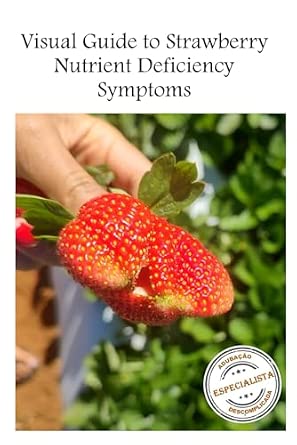Visual Guide to Strawberry Nutrient Deficiency Symptoms | Amazon.com.br