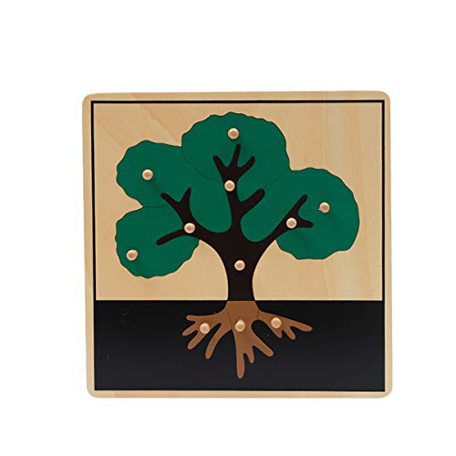 Amazon.com: Wooden Montessori Botany Tree Puzzle : Toys & Games
