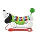 Amazon.com: LeapFrog AlphaPup, Green : Everything Else