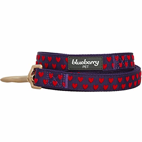 Valentine's Day Dog Leashes