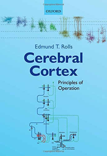 Cerebral Cortex: Principles of Operation: 9780198784852: Medicine ...