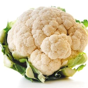 VibeX Pusa Shubhra Cauliflower Variety-250 Seeds : Amazon.in: Garden ...