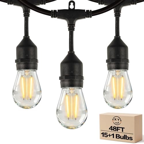 Xylenthia Outdoor String Lights, Super Bright LED - 48FT 15 S14 Bulbs ...