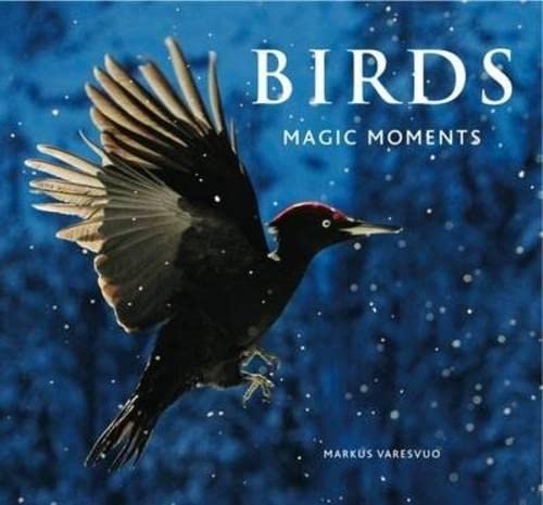 Birds: Magic Moments: Amazon.co.uk: Varesvuo, Markus: 9781780090757: Books