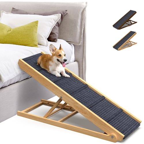 Amazon.com New Releases: The best-selling new & future releases in Dog ...