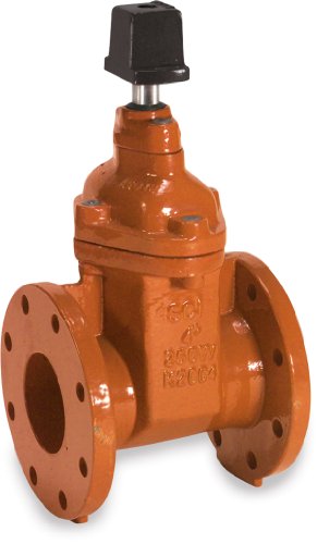 Smith-Cooper International 10FN Series Iron Gate Valve with Operating ...
