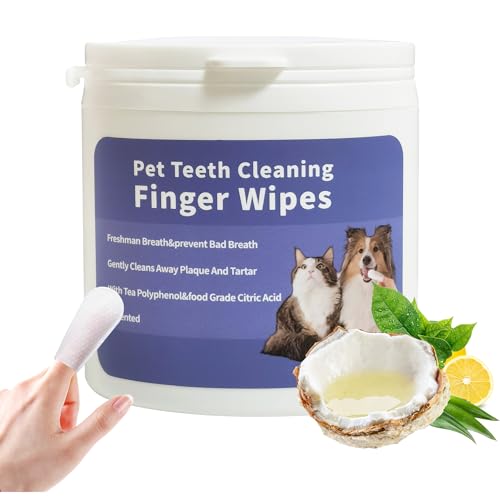 Cat Teeth Cleaning – The 15 best products compared - Wild Explained