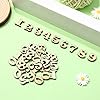 Amazon.com: MAGICLULU 100 Pcs Wooden Numbers Blank Unfinished Unpainted ...