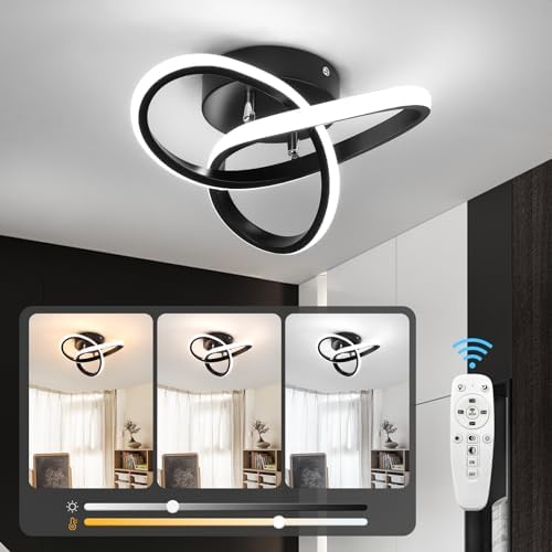 EIDISUNY LED Ceiling Light Dimmable, Modern LED Ceiling Lamp with ...