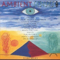 Ambient Senses - The Vision [RARE] by : Amazon.co.uk: CDs & Vinyl