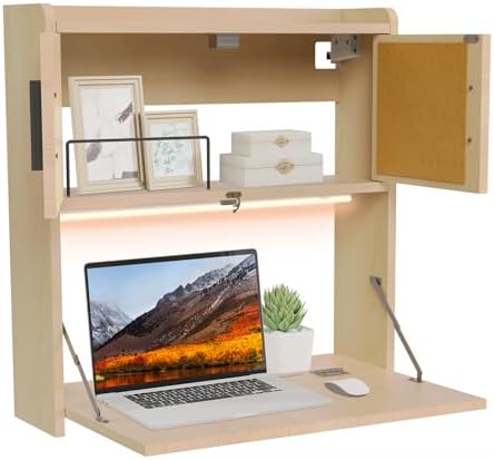 Amazon.com: ARTETHYS Wall Mounted Desk with LED Light Multifunctional ...