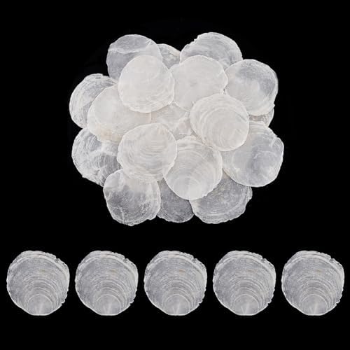 Amazon.com: PH PandaHall 60pcs Undrilled Capiz Shells, 2~3.5 inch Large ...