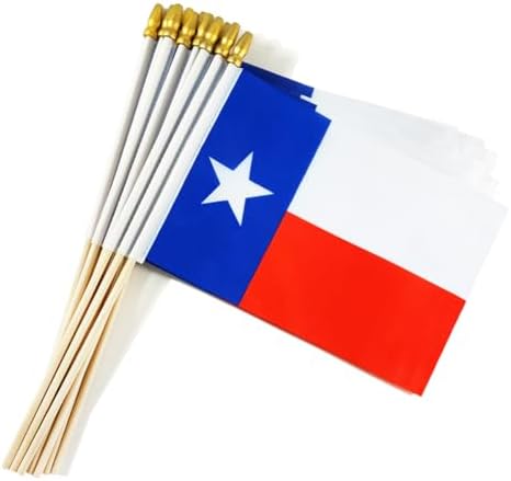Amazon.com: 50 Pack Hand Held Texas Flag,State Stick Small Mini Flag ...
