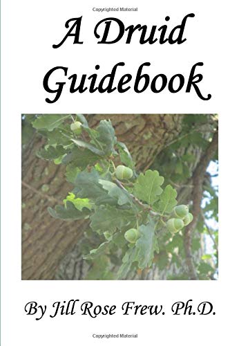 A Druid Guidebook | Amazon.com.br