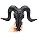 Amazon.com: Resin Goat Skull Head Wall Hanging Decor Succulent Long ...