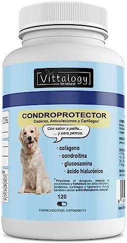 VITTALOGY Condroprotector para Perros. Antiinflamatorio Natural con ...