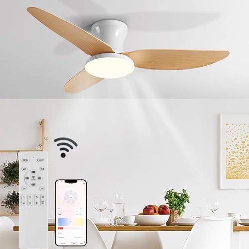 Amazon.com: 43inch Ceiling Fan with Led Light,40W Dimmable light(3000 ...