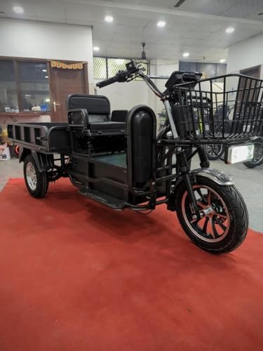 Three Wheeler Electric Loder With Graphin (Graphine Battery), for Adult ...