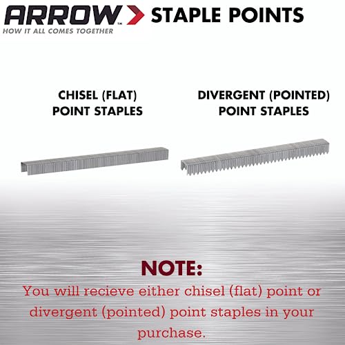 Arrow Fastener 505IP Heavy Duty T50 Staples for Upholstery ...