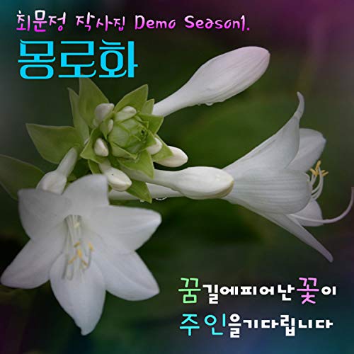 Amazon MusicでChoi Mun Jeongの신곡드림(Dream)-MBC싱글벙글쇼 수상, 최문정 작사집 Demo ...