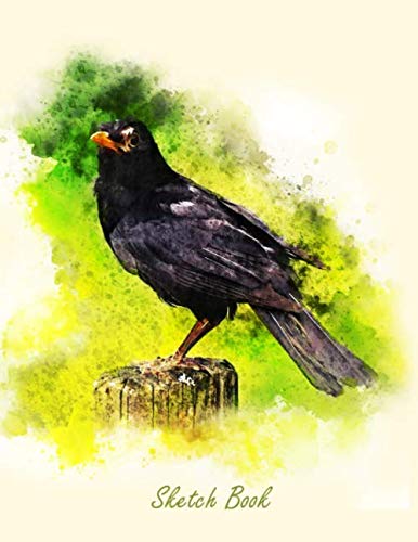 Sketchbook Abstract Art raven: For Drawing, Writing, Painting or ...