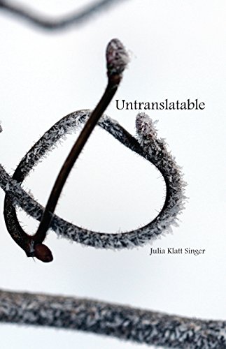 Amazon.com: Untranslatable eBook : Klatt Singer, Julia: Books