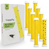 Cockroach Bomb? Here are the 10 Best Roach Bombs