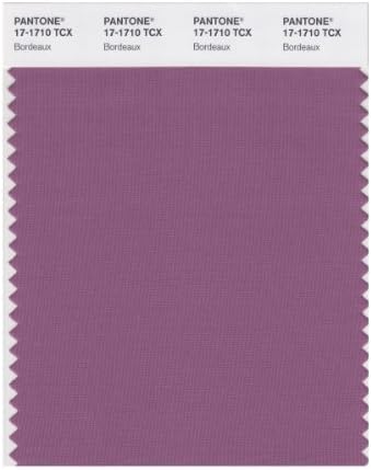 PANTONE SMART 17-1710X Color Swatch Card, Bordeaux by Pantone : Amazon ...